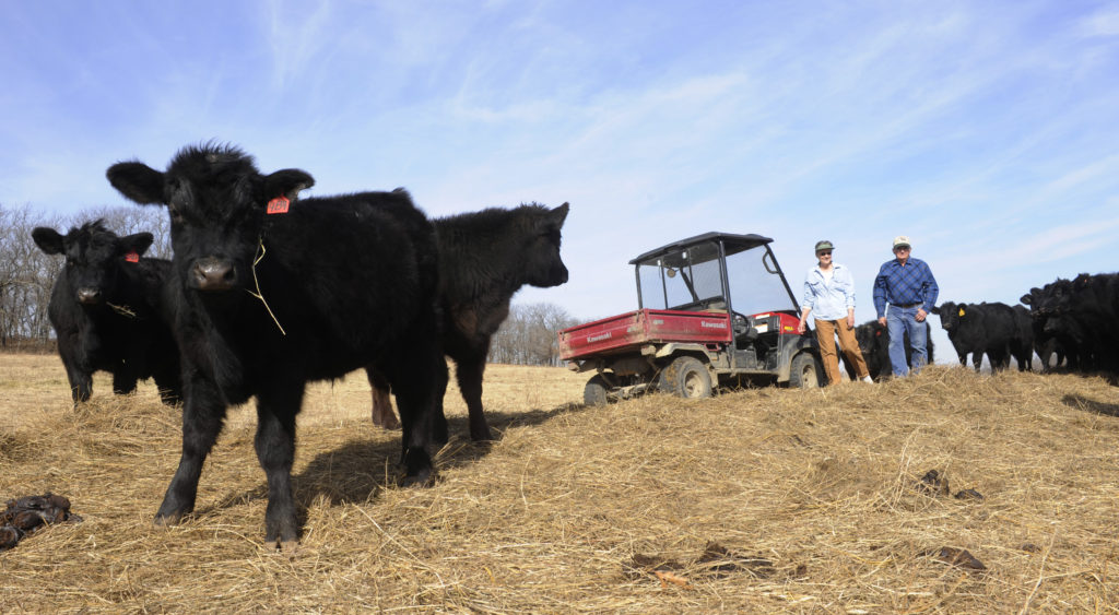 Farmers may wind up paying for gas produced by their cows | News ...